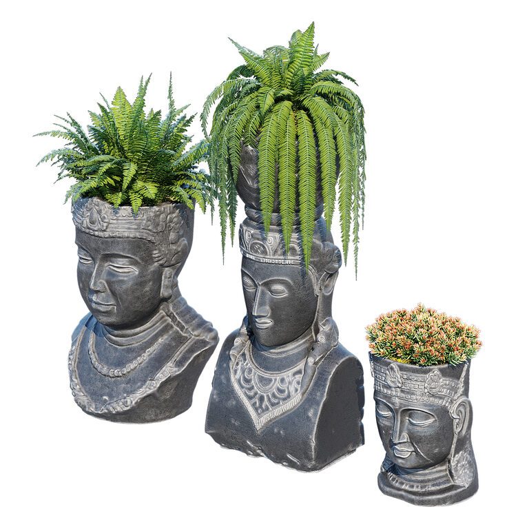 Shiwa head plant (396178) 3D model - Download 3D model Shiwa head plant ...