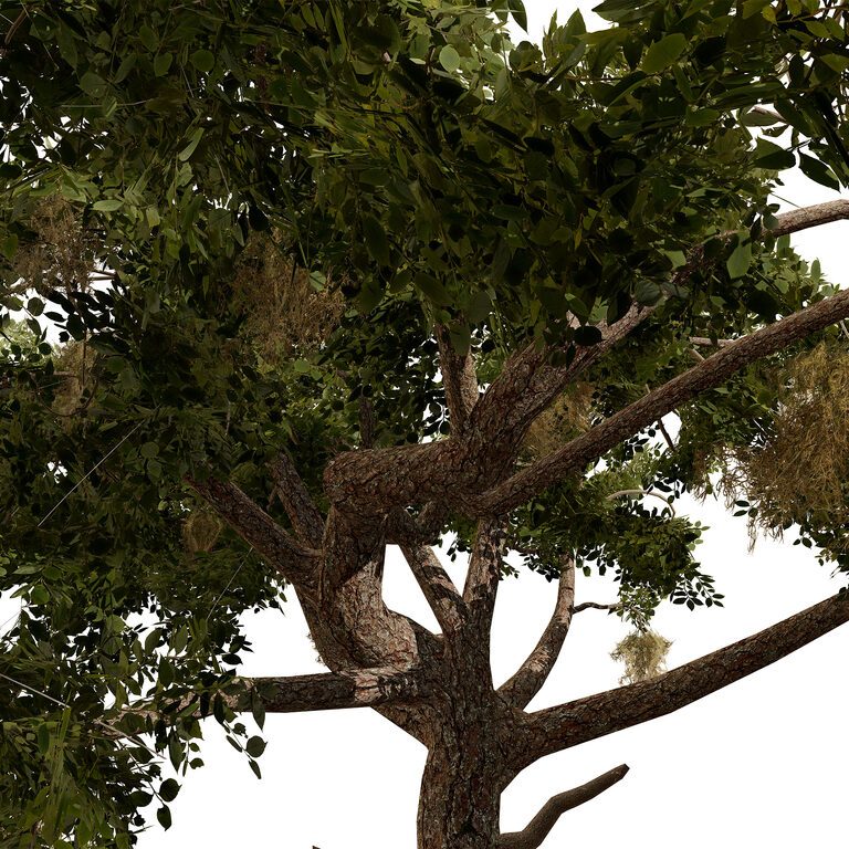 Arabian Charcoal Tree Pack (397436) 3D model - Download 3D model ...