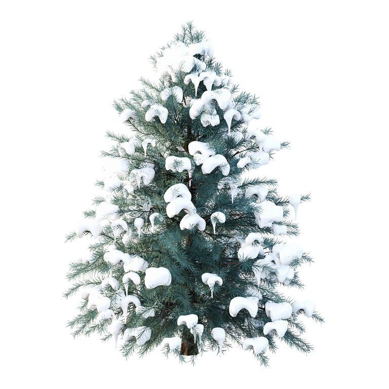 Douglas Fir Winter Tree 03 (397446) 3D model - Download 3D model ...