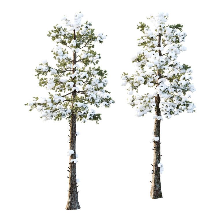 Douglas Fir Winter Tree 01 (397512) 3D model - Download 3D model ...