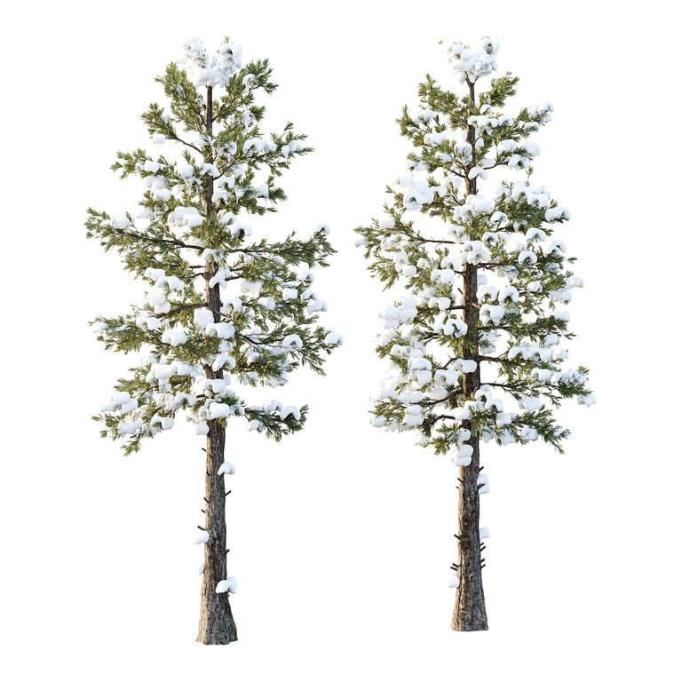 Douglas Fir Winter Tree 02 (397551) 3D model - Download 3D model ...
