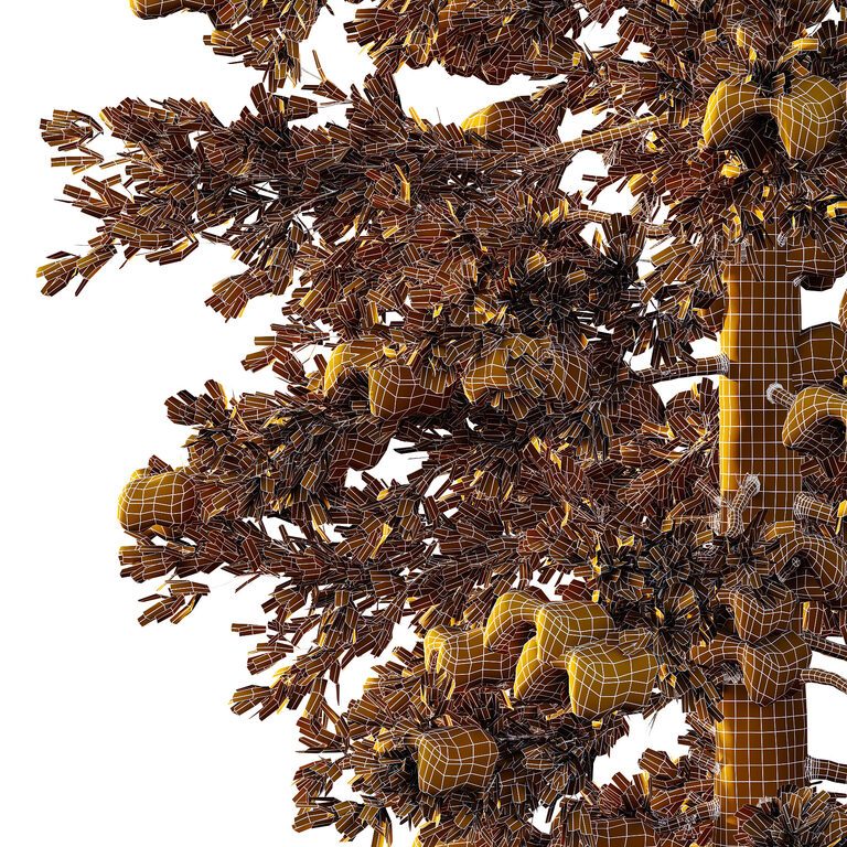 Douglas Fir Winter Tree 03 (397562) 3D model - Download 3D model ...
