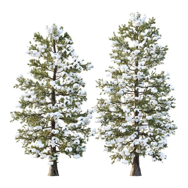 Douglas Fir Winter Tree 03 (397562) 3D model - Download 3D model ...