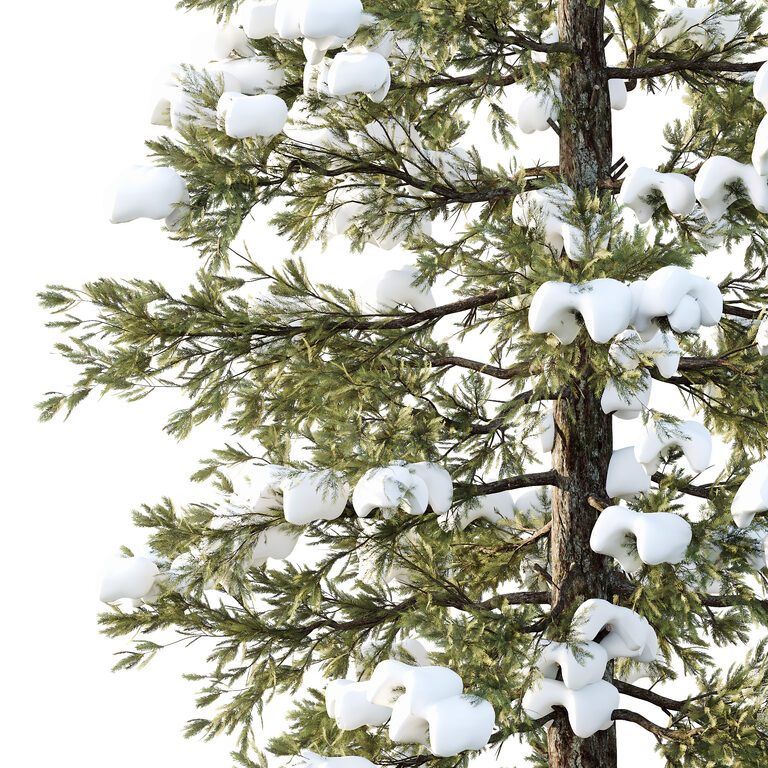 Douglas Fir Winter Tree 03 (397562) 3D model - Download 3D model ...