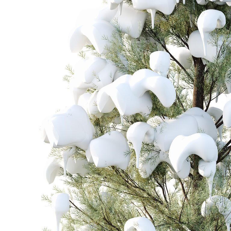 Eastern Red Cedar Winter Tree 01 (397600) 3D model - Download 3D model ...