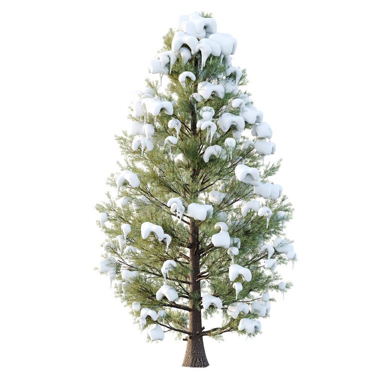Eastern Red Cedar Winter Tree 02 (397603) 3D model - Download 3D model ...