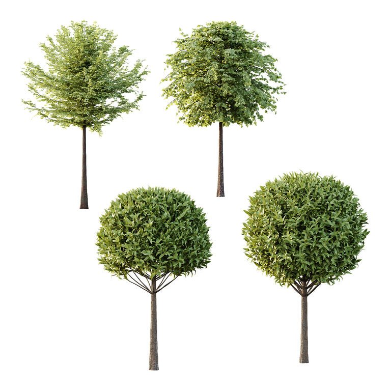 Diffrent Trees 01 (397682) 3D model - Download 3D model Diffrent Trees ...