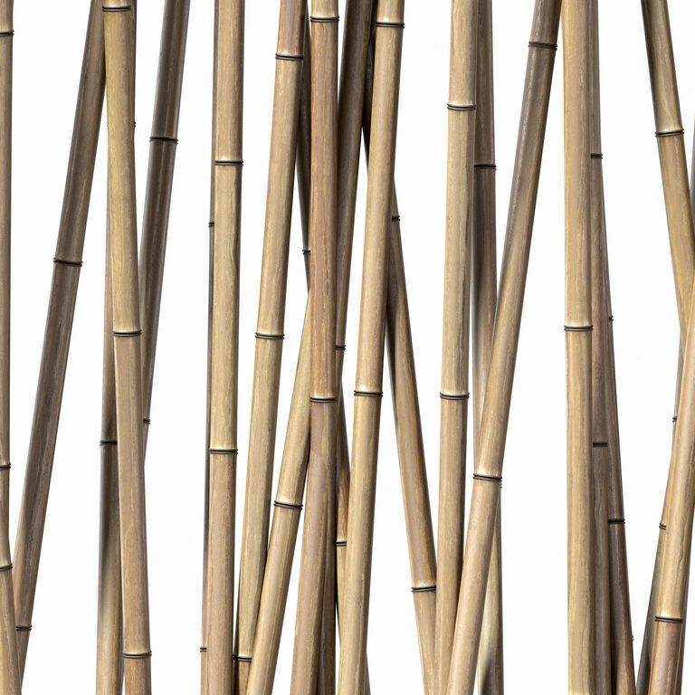 Bamboo decor n35 (398454) 3D model - Download 3D model Bamboo decor n35 ...