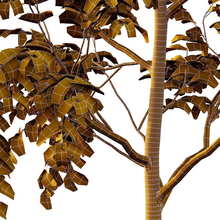 Chinese ash Tree Fraxinus chinensis 04 (399966) 3D model - Download 3D ...