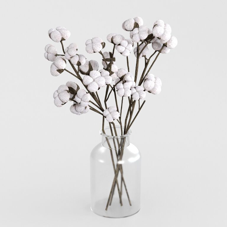 Cotton bouquet (44753) 3D model - Download 3D model Cotton bouquet ...